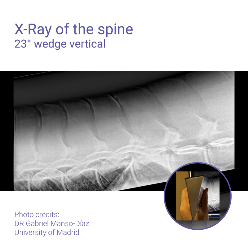 Aluminium Wedge - Equine NeckBack X-ray Wedge Podoblock B.V.