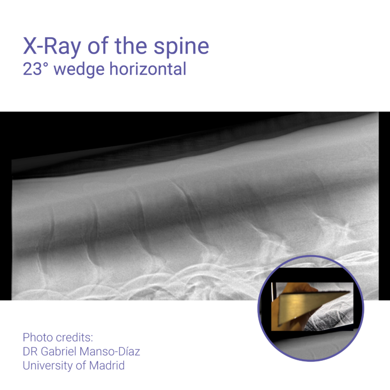 Aluminium Wedge - Equine NeckBack X-ray Wedge Podoblock B.V.
