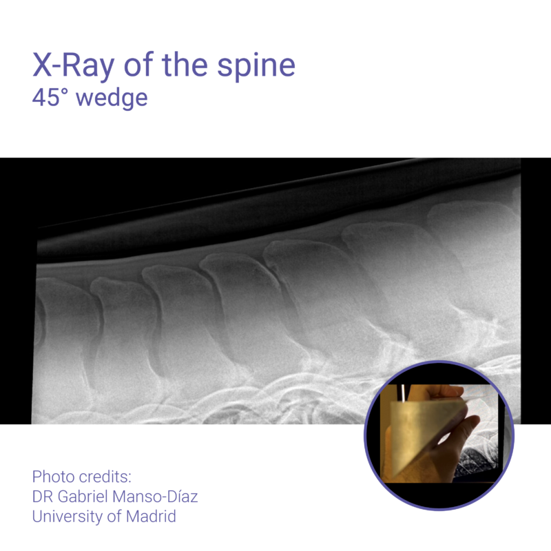 Aluminium Wedge - Equine NeckBack X-ray Wedge Podoblock B.V.