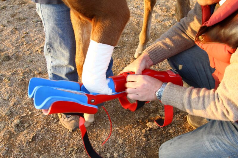 REDboot Articulated Corrective Brace - Fetlock Brace - Podoblock B.V.